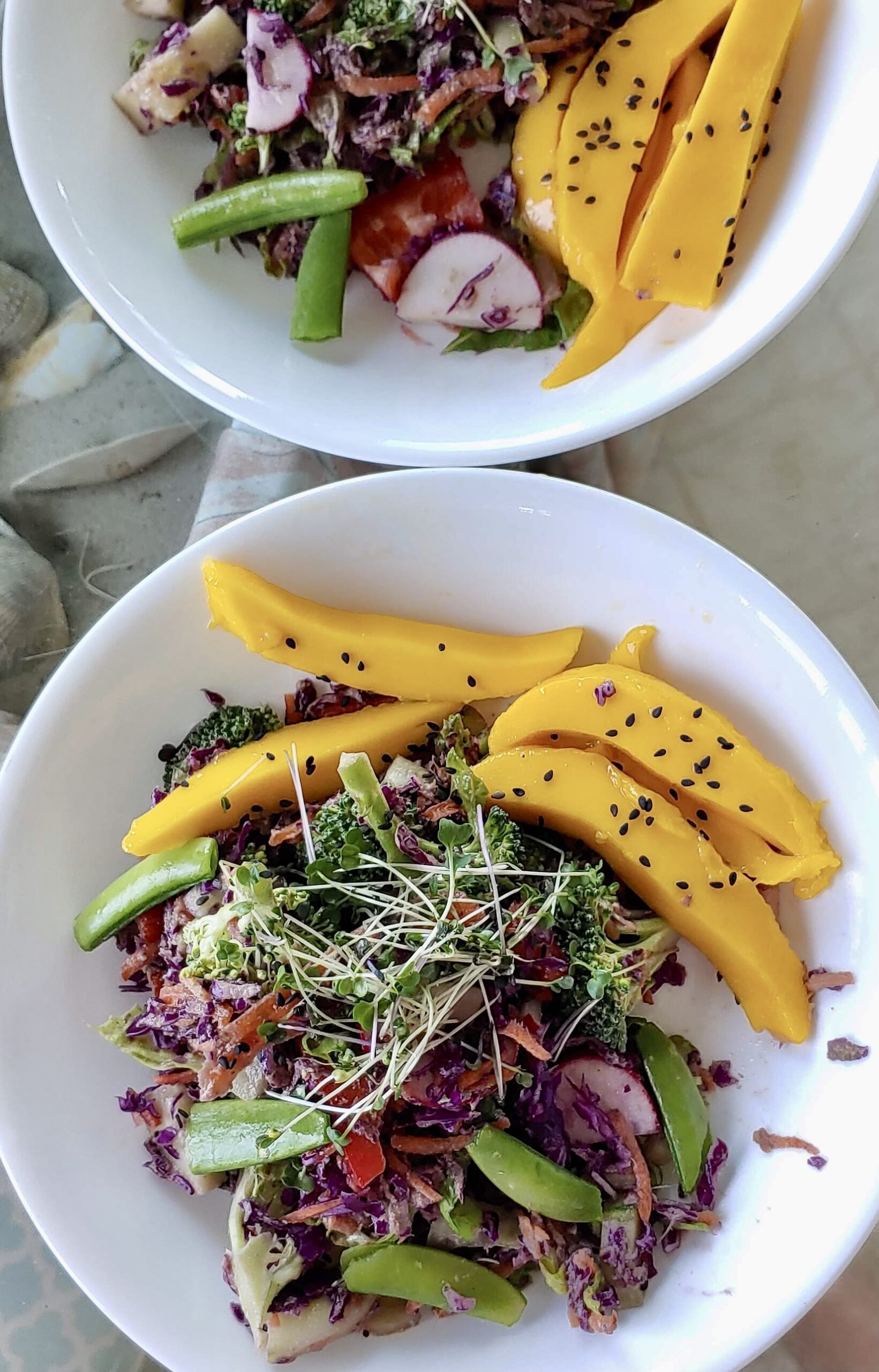 Girl Gone Raw Healthy Bites