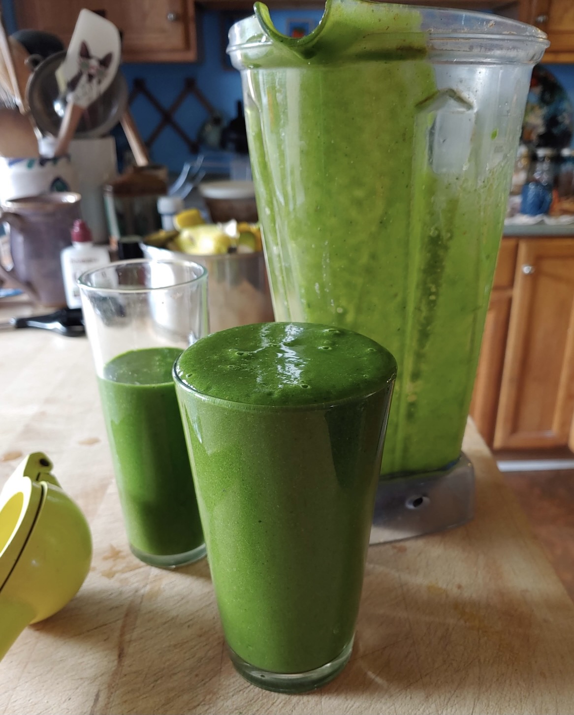 Girl Gone Raw Healthy Bites